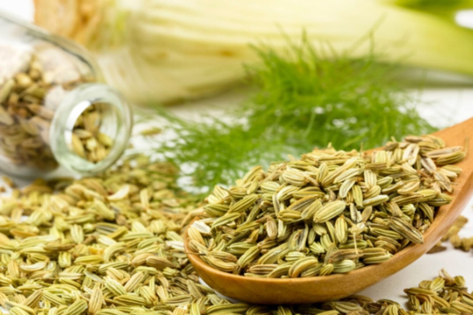 Fennel Seeds - Pentastar International