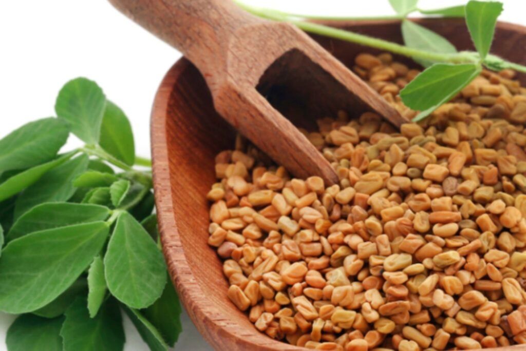Fenugreek Seeds - Pentastar International