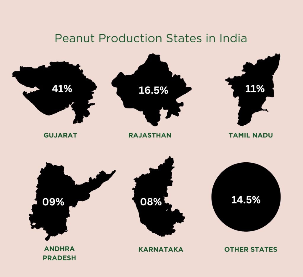 Let's get the update of Indian Peanut Crop 2024 - Pentastar International